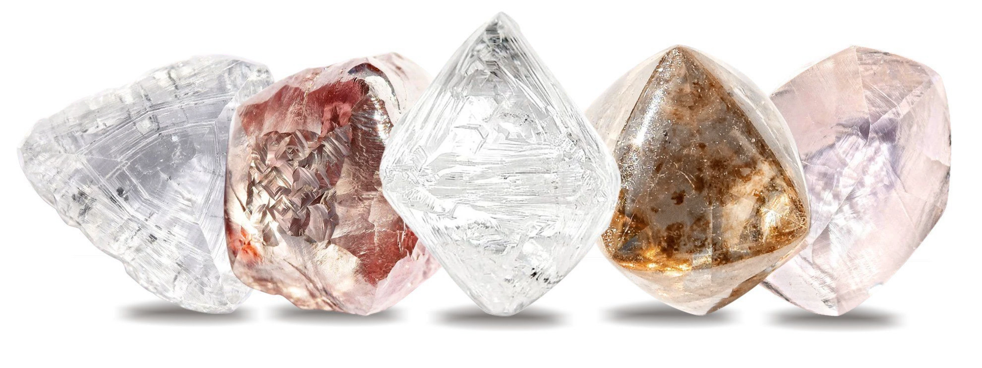 Genuine Gems – 100% Genuine